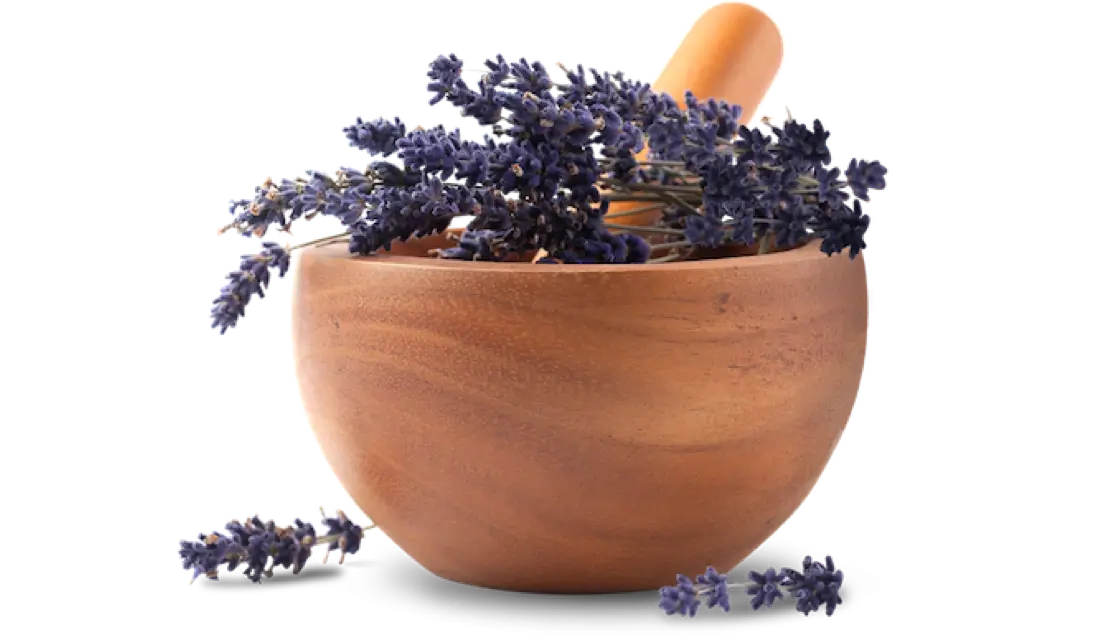 Custom Web Design | Partopia Digital